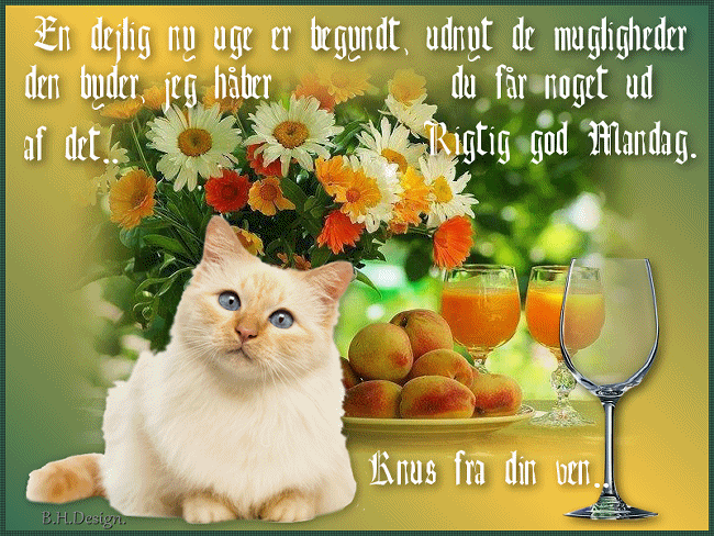 digitaldk | Komogvind.dk - Sjove og gratis online spil!