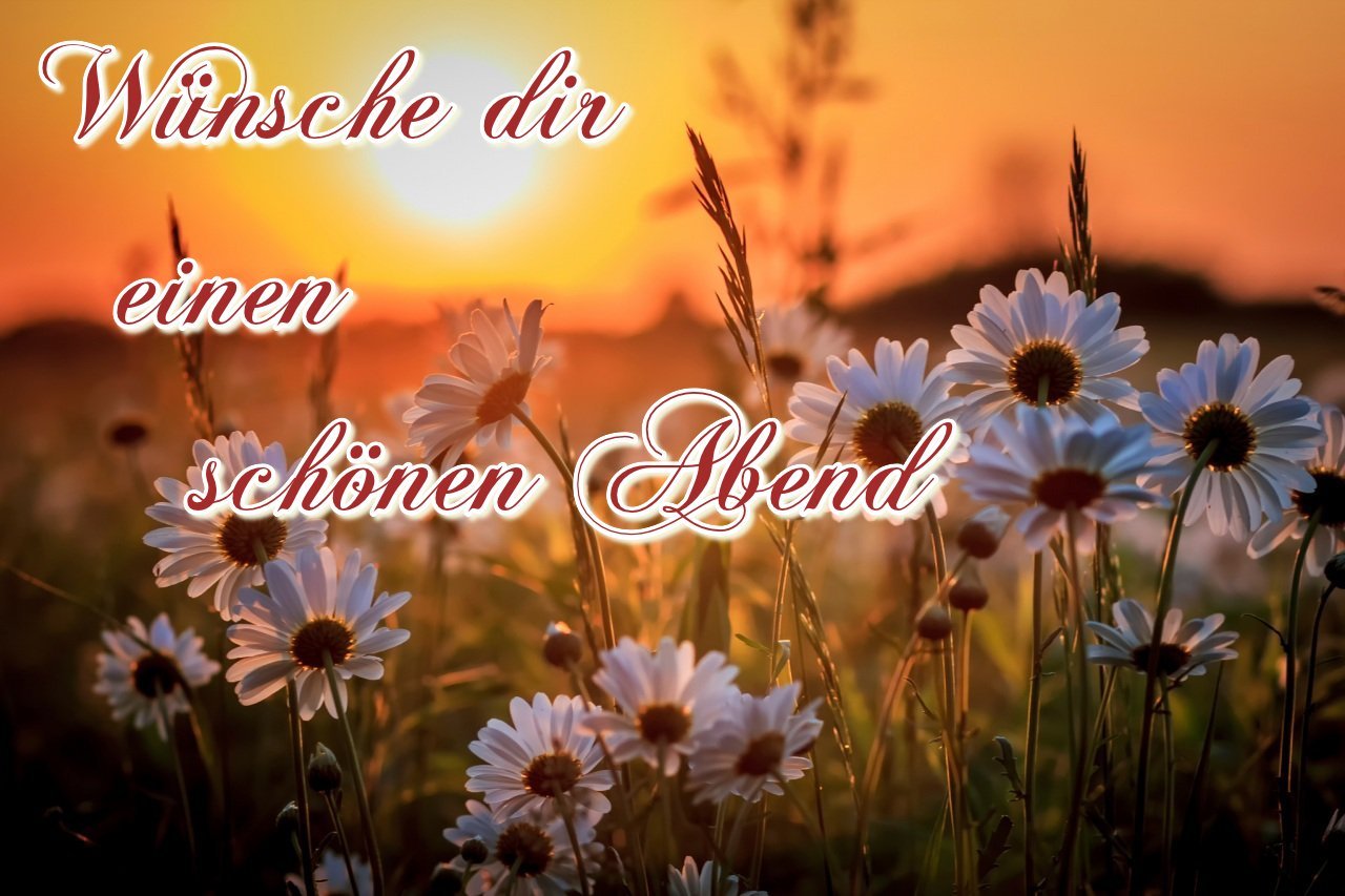 Jappy - Deine Online-Community